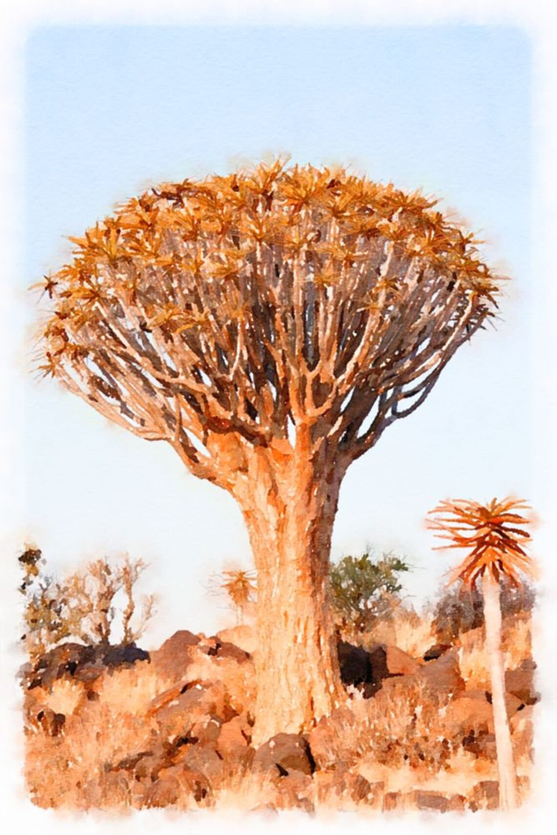 Quiver Tree Digital Watercolour Nature Image Download | Etsy