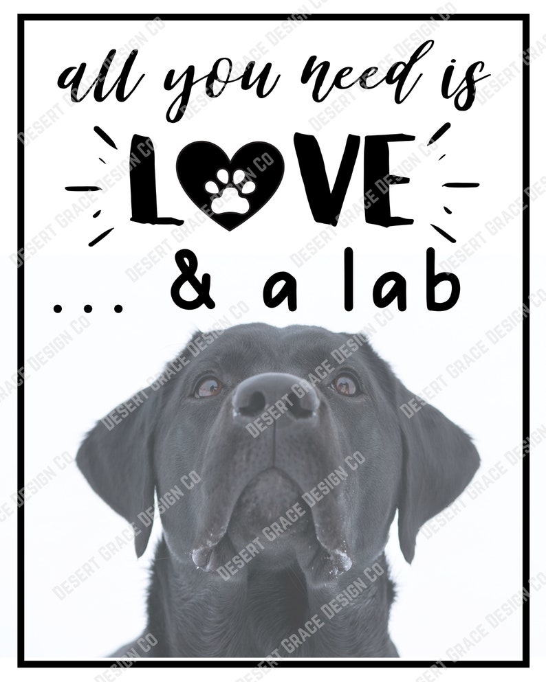 Black and White Dog Art, Lab Quote Print, Labrador Lover Novelty ...