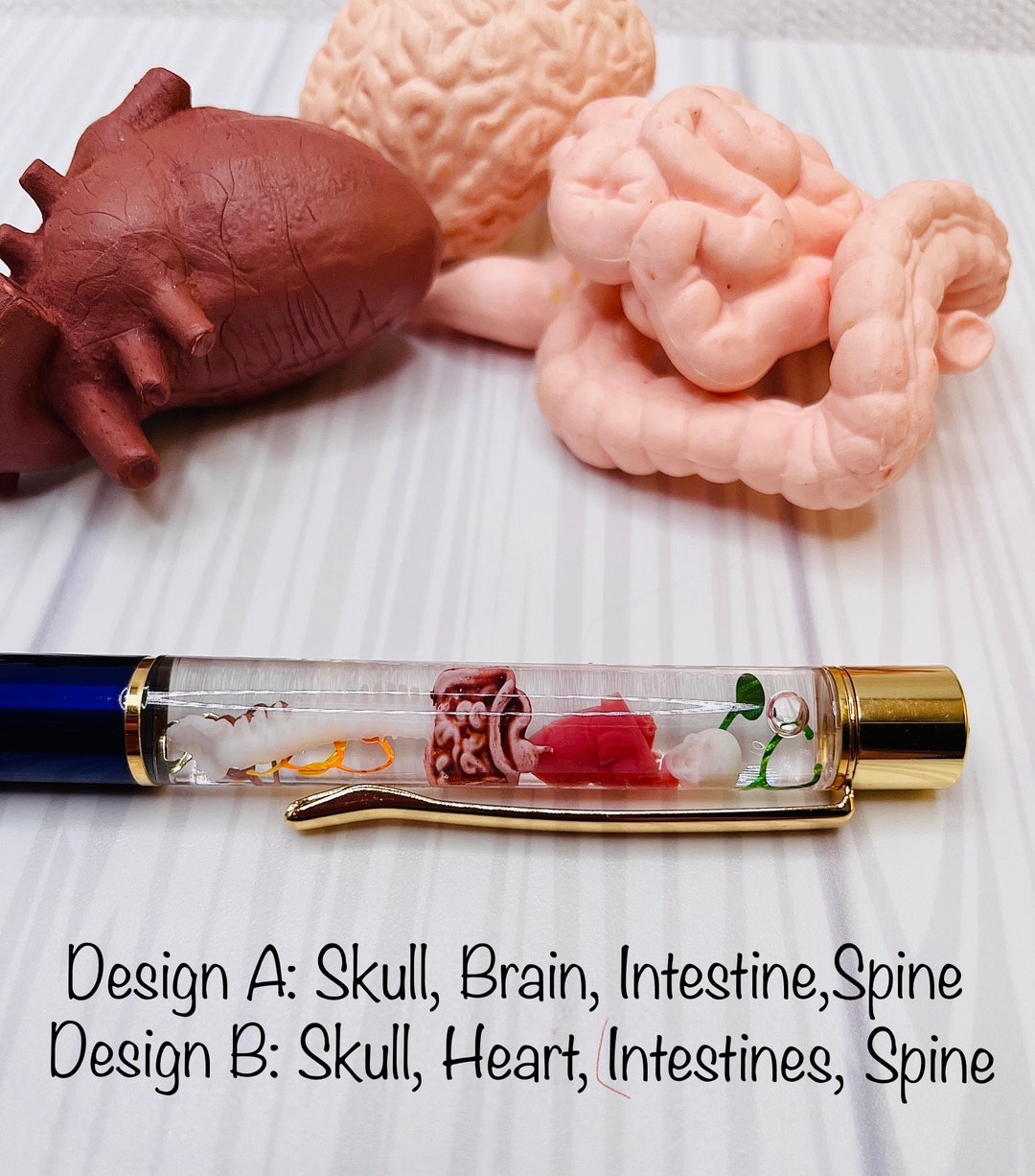 Miniature Human Body Parts Float Pen / Diorama Human Anatomy / Custom ...