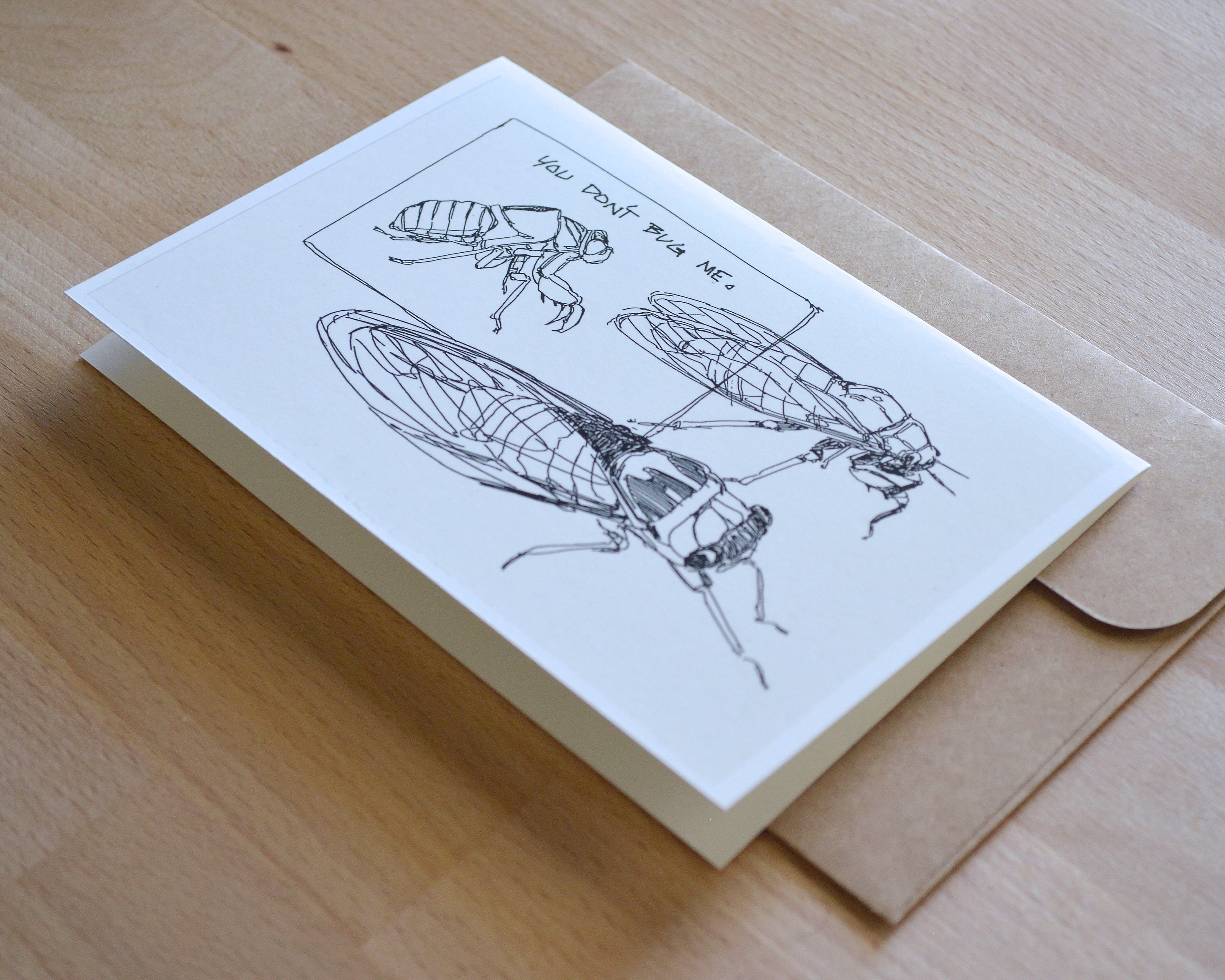 Paper note card bug notecard & insect cards Cicada postcard greeting ...