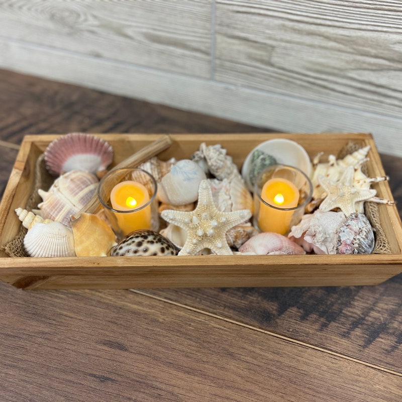 Seashell Centerpiece - Etsy