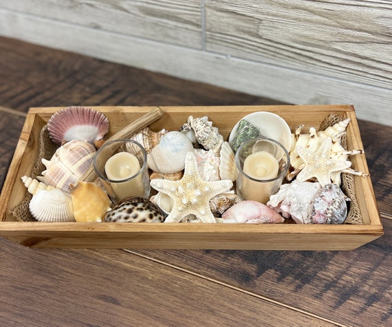 Beach Sand And Shells Centerpieces Sea Inspired Table Setting And