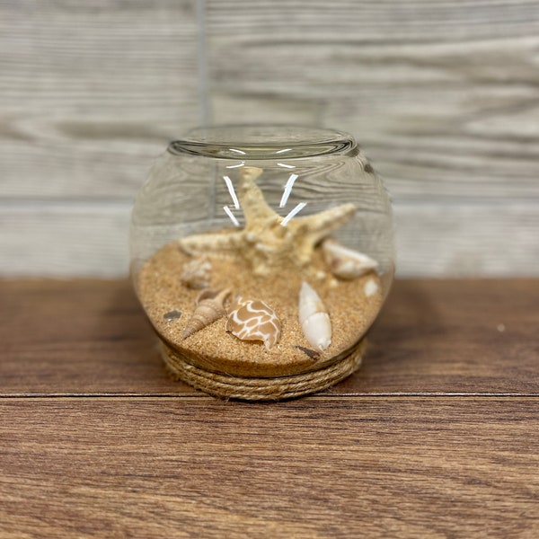 Seashell Centerpiece - Etsy