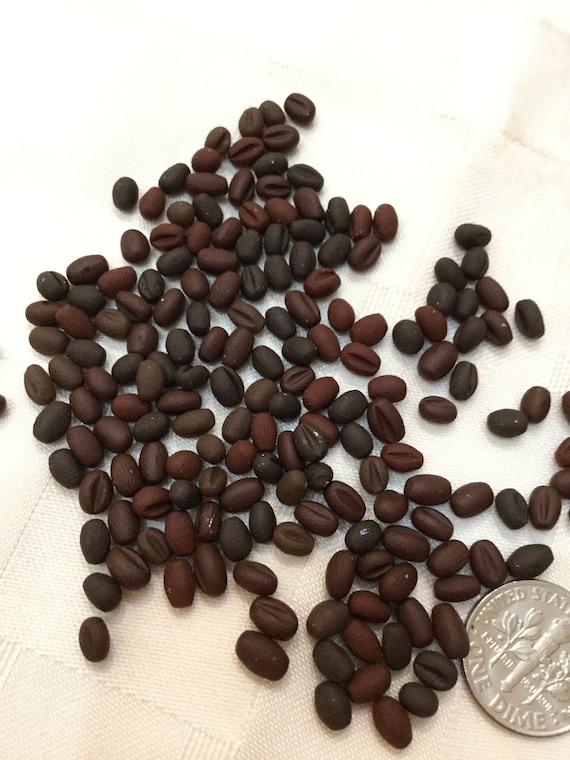 Miniature Coffee Beans - Etsy
