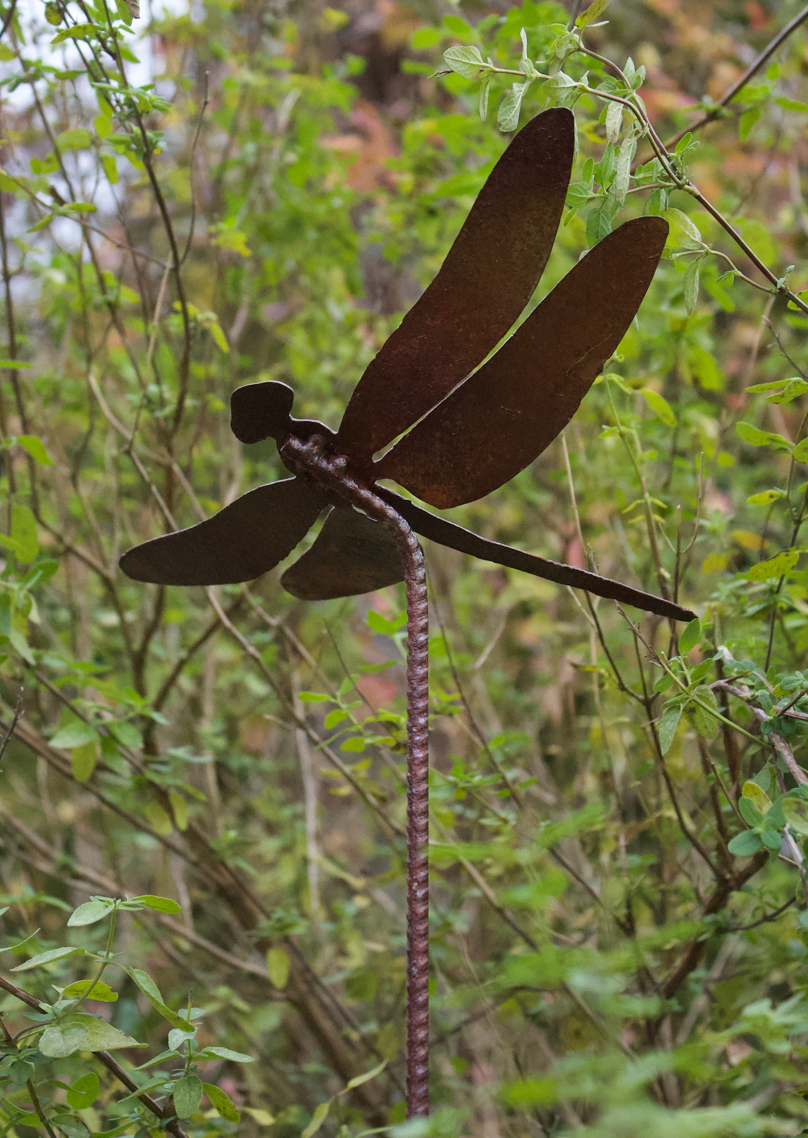 Rusted Metal Dragonfly - Garden Stake - Plant Pot Stakes - Rusty Metal ...