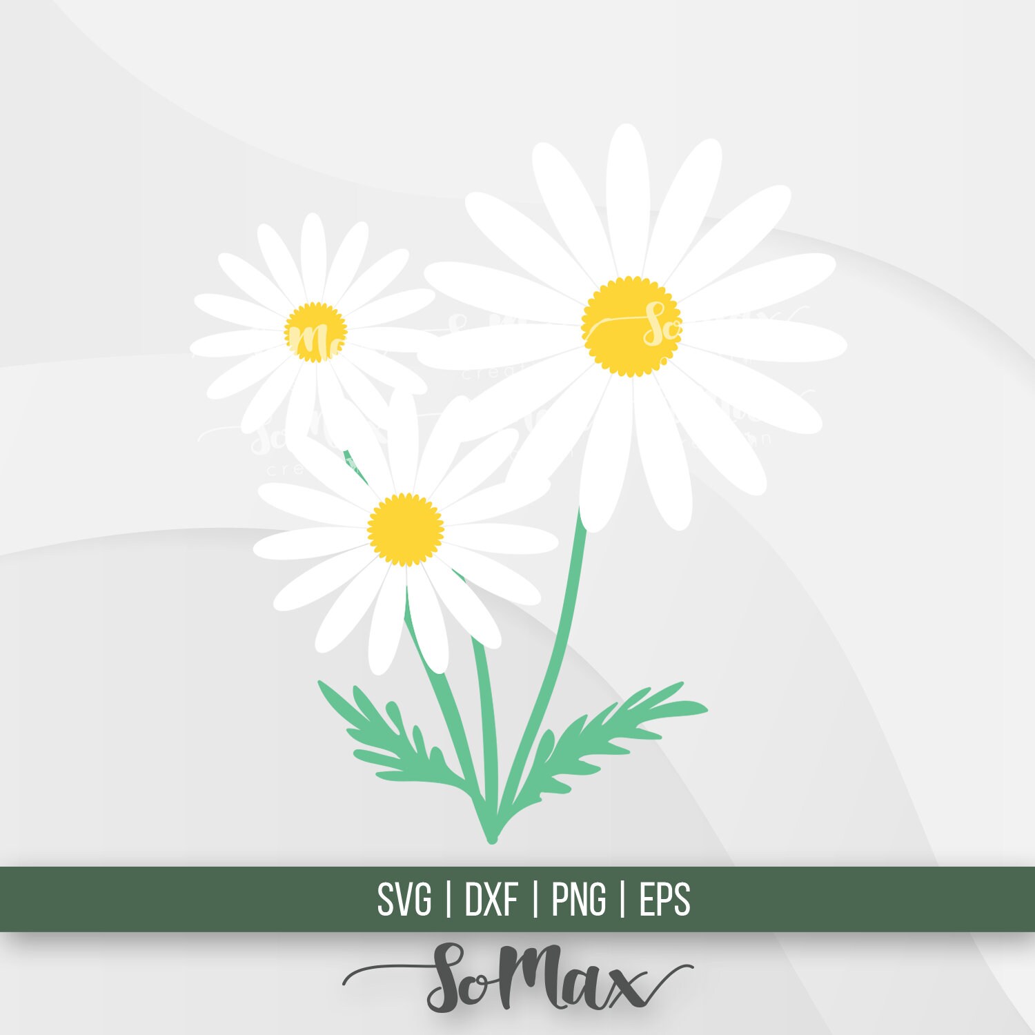 Daisy Svg Flower Svg Daisy Bundle Png Daisy Sublimation - Etsy