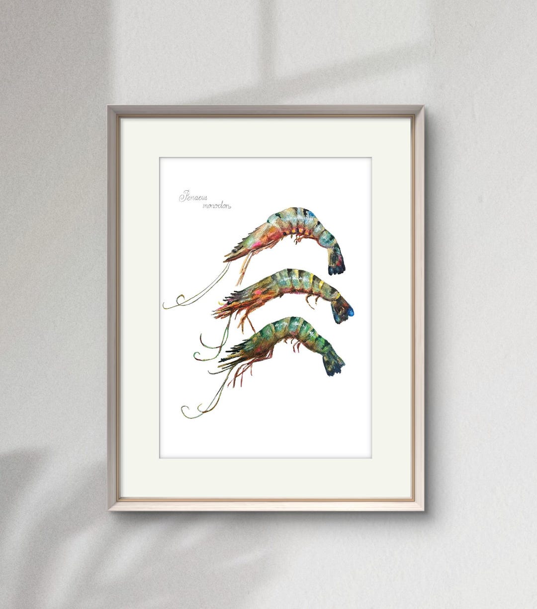 Sea Creatures Watercolour - King Prawns - Etsy