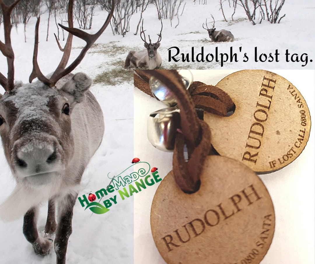 50 Reindeer Lost Tag - Etsy