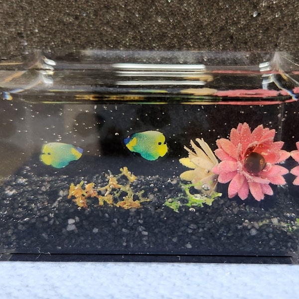 Miniature Fish - Etsy