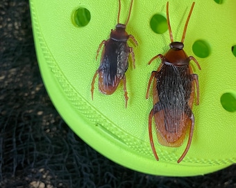 Handmade Cockroach Roach Water Bug Croc Charm Great for Pranks - Etsy