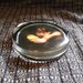 Vintage Nigel Pain Paperweight Featuring Art Painting Miniature of the ...