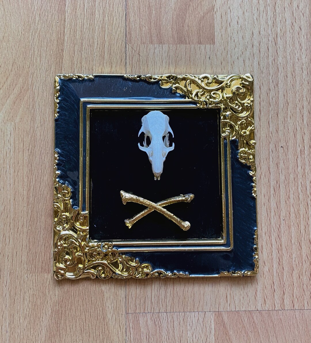 Framed Rat Bones With Gold - Etsy
