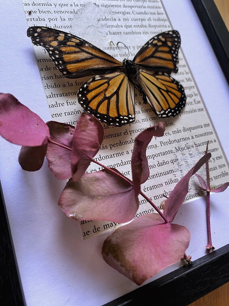 Framed Monarch Butterfly With Real Pressed Flowers Hand Pressed Flowers ...