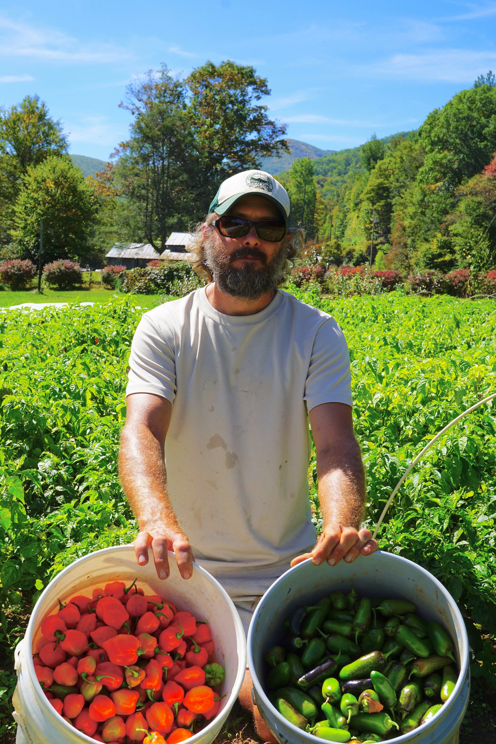 Open Ridge Farm Pica Rica Artisan Hot Sauce - Etsy