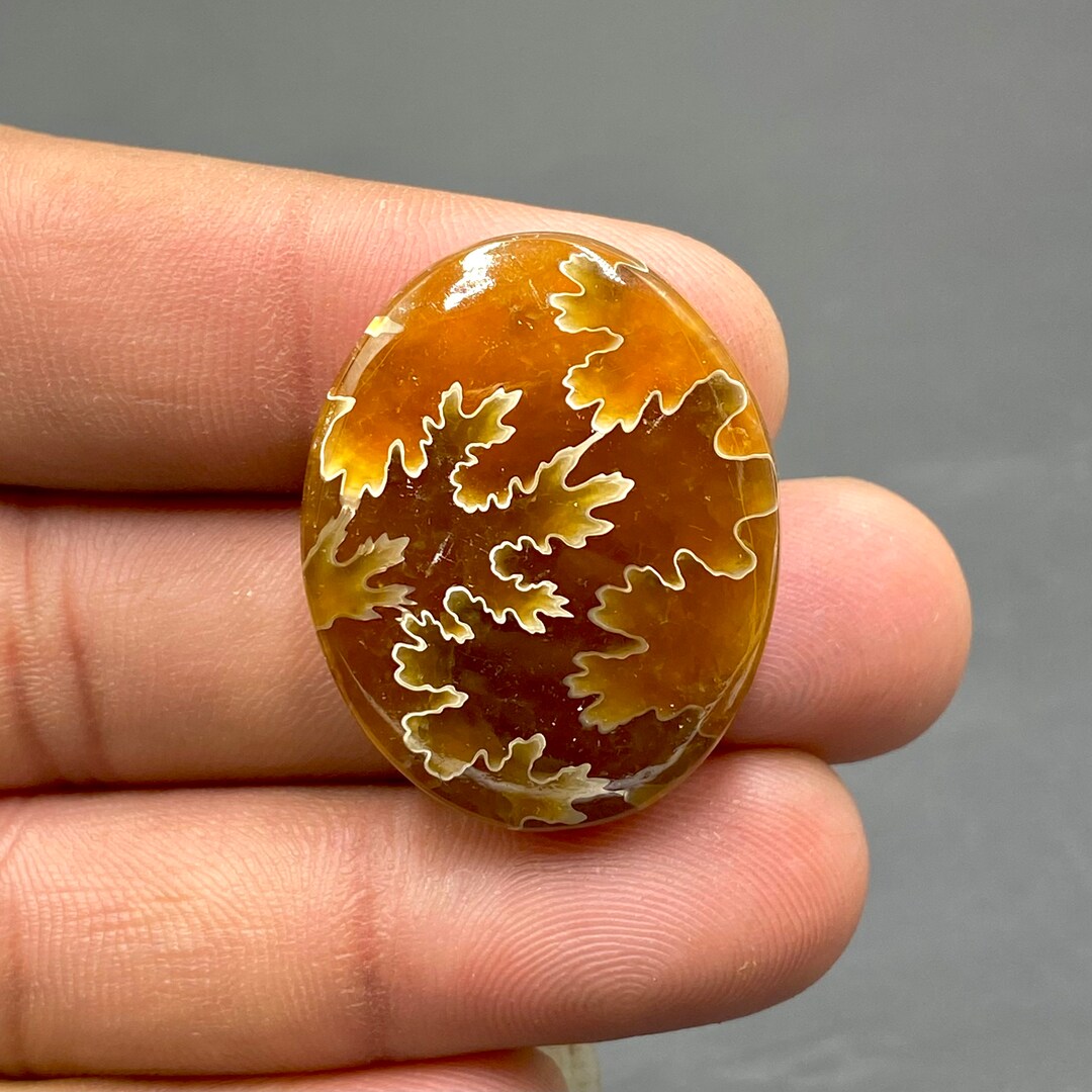 Beautiful Ammonite Cabochon, Ammonite Fossil Shell Gemstone, Oval Shape ...