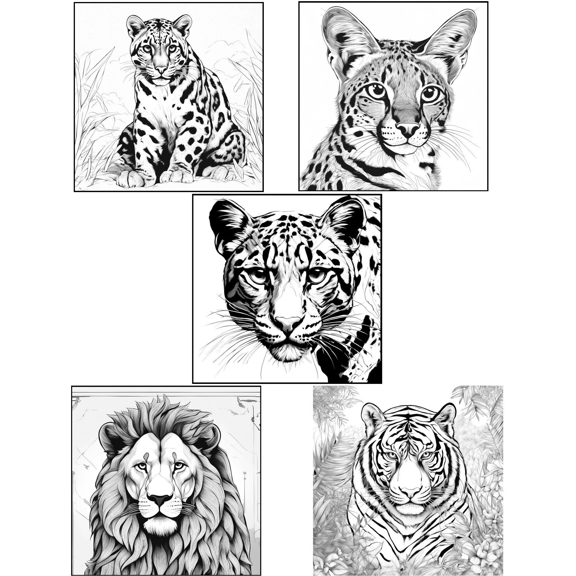 Big Cats - 50 Super Pack Adult Coloring Pages! Lions, Tigers, Cougars ...