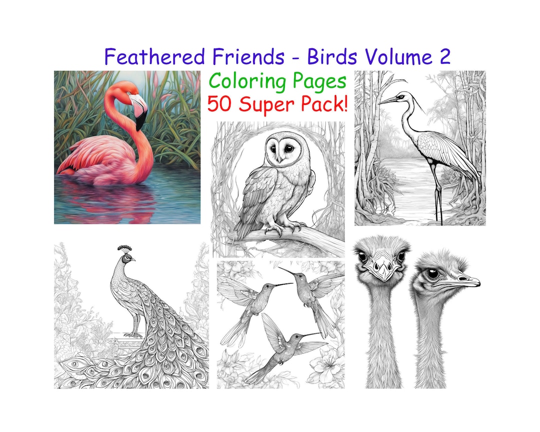 Birds! 50 Super Pack Adult Coloring Pages! Volume 2 of Beautiful ...