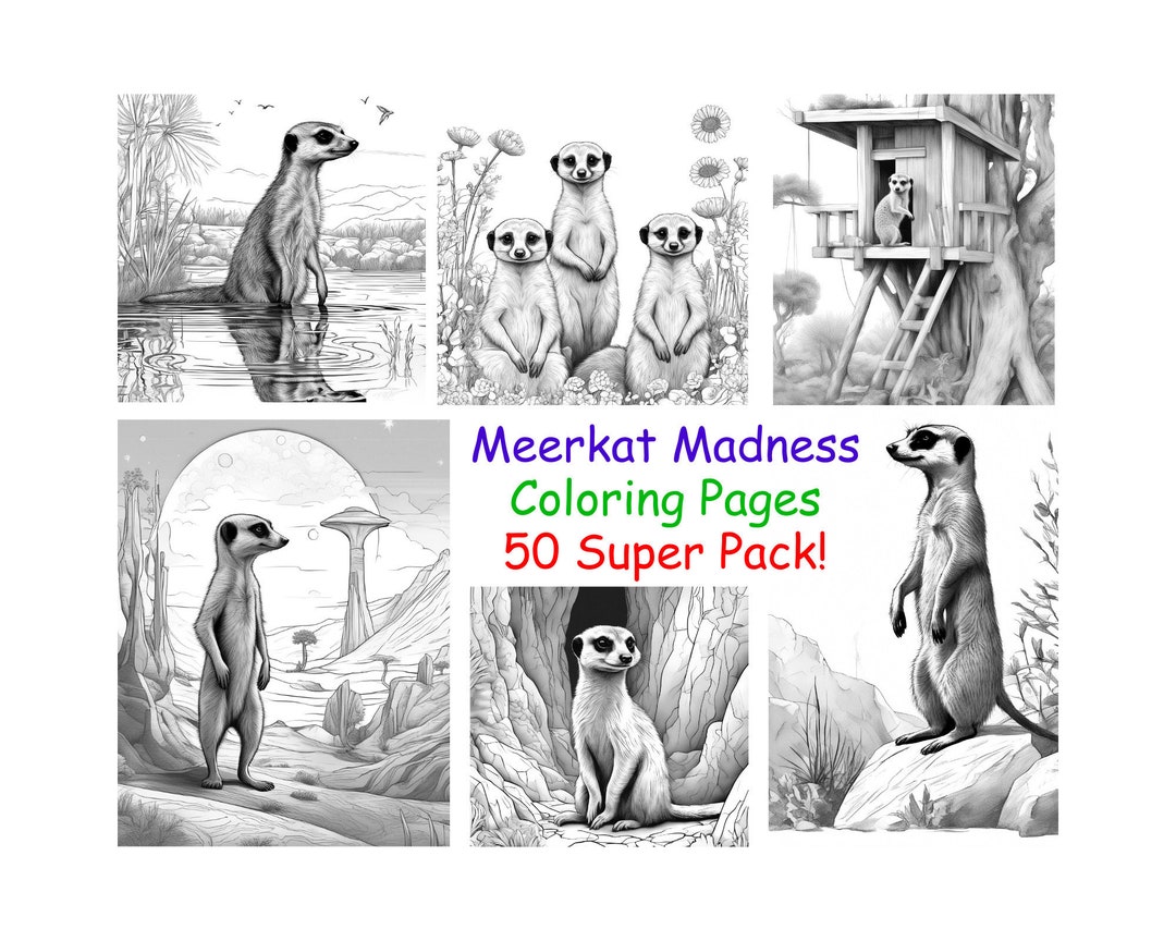 Meerkat Madness - 50 Super Pack! Adorable African Mongoose Wildlife ...