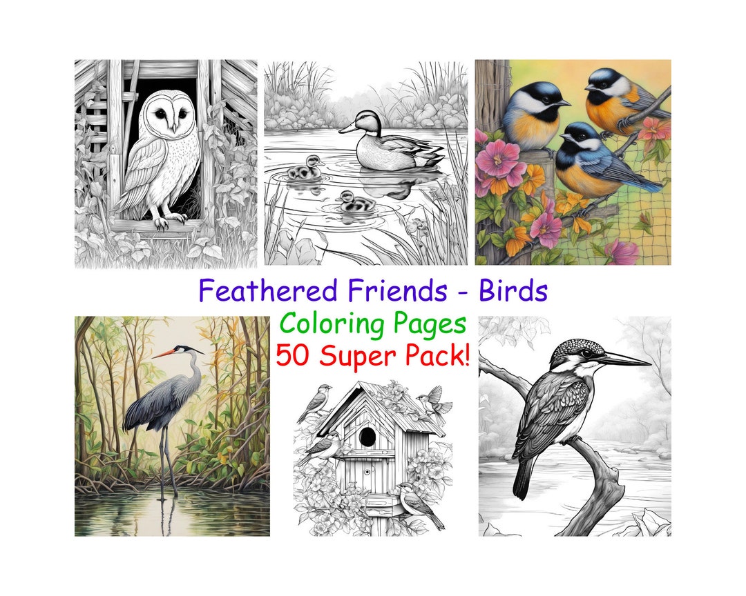 Birds! 50 Super Pack Adult Coloring Pages! so Many Beautiful Feathered ...