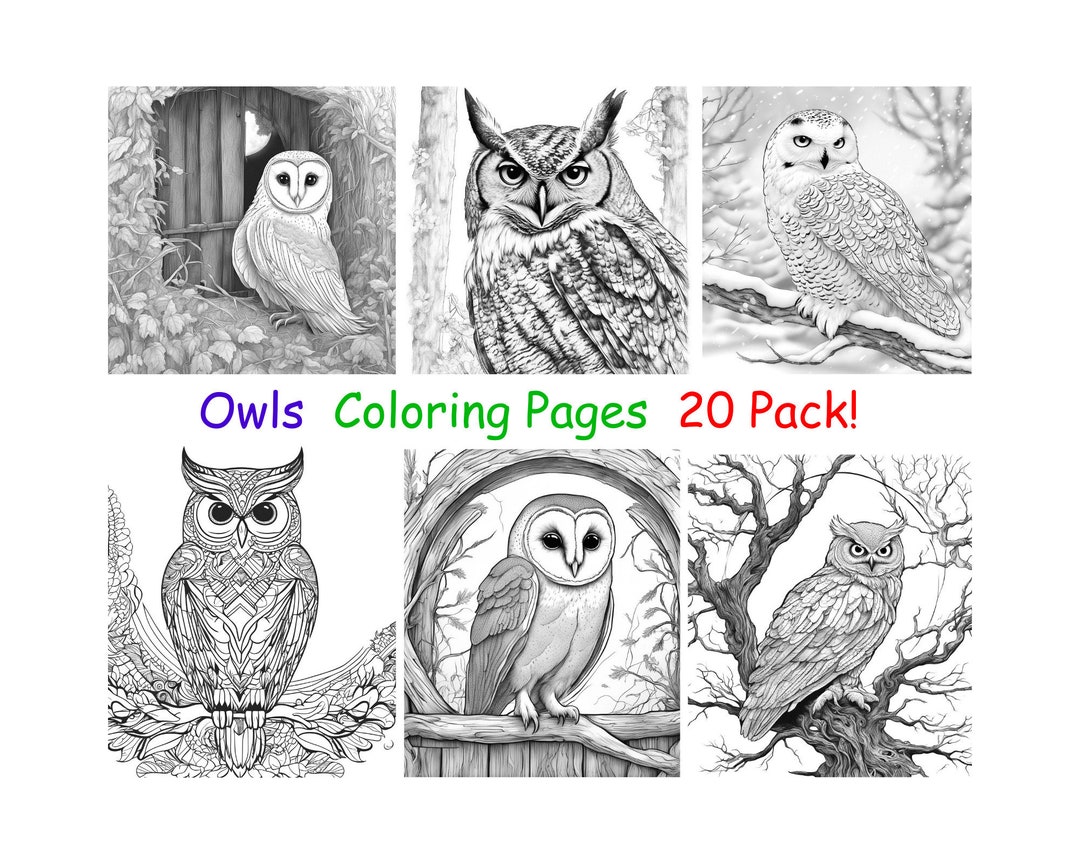 Owls - 20 Pack Adult Coloring Book Pages. Relaxing, Calming, Feathered ...