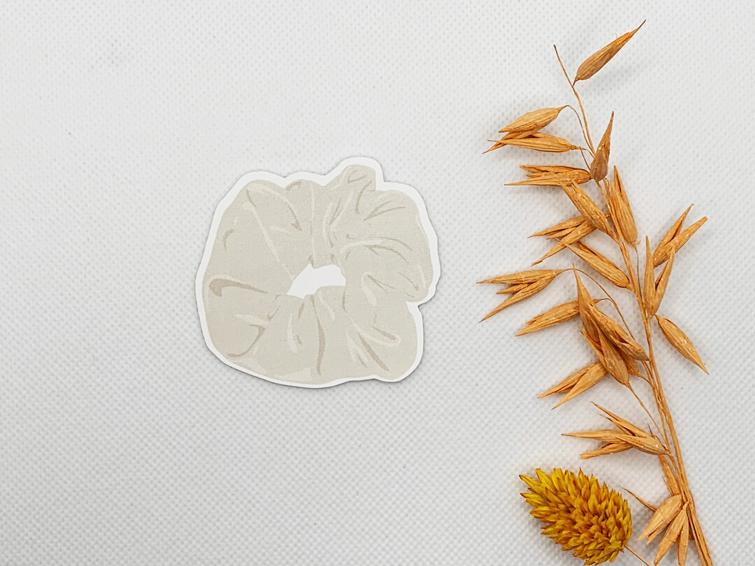 Cute Scrunchie Die Cut Sticker Hair Scrunchie Sticker - Etsy