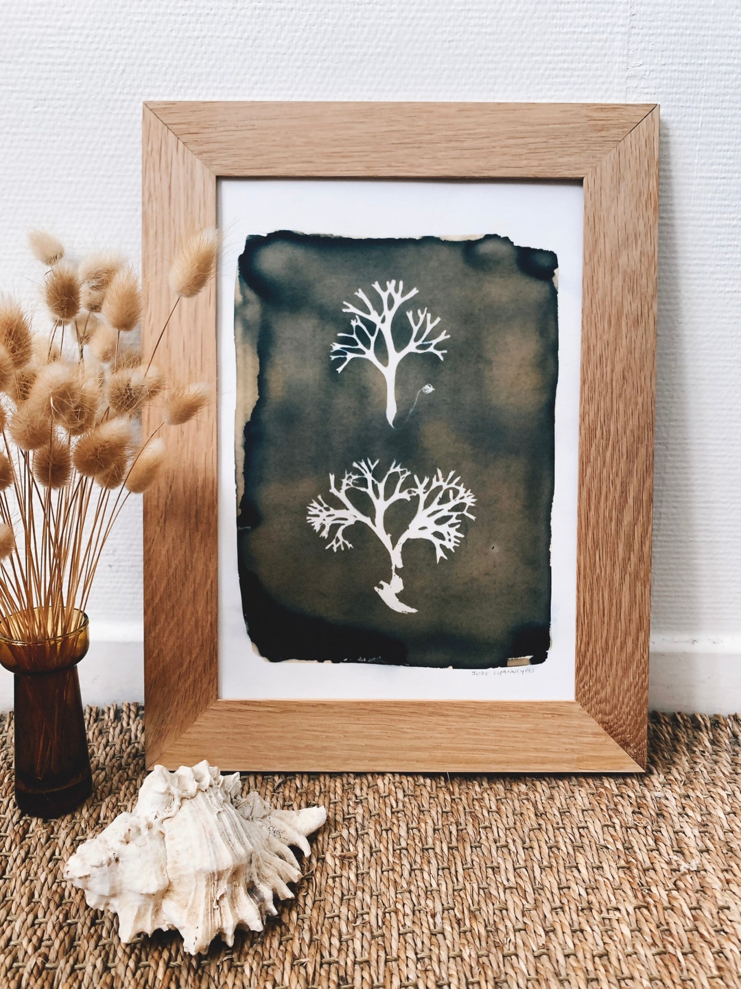 Golden Green Cyanotype of Algae From the Basque Country A4. Alternative ...