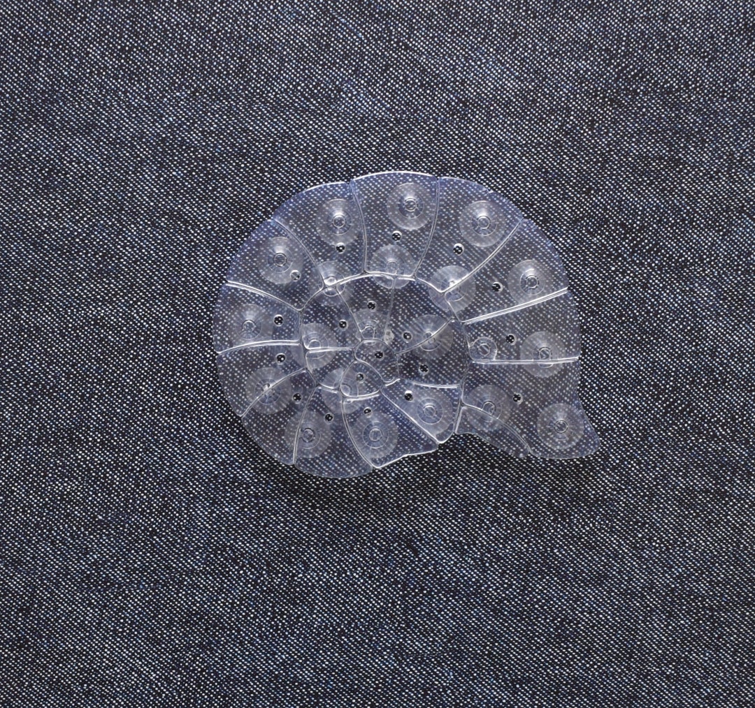 Seashell Mini Bath Mats | Nautical Bath Decor, Coastal Floor Mats, Cute ...