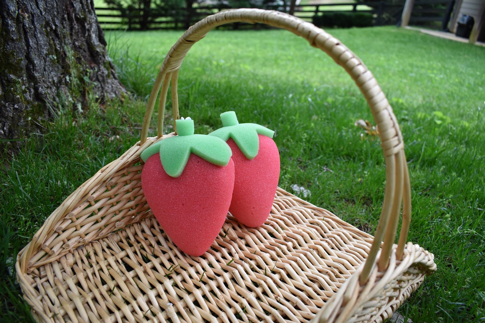 Strawberry Bath Sponges | Cute Fun Bathing Accessories | Eco-friendly ...