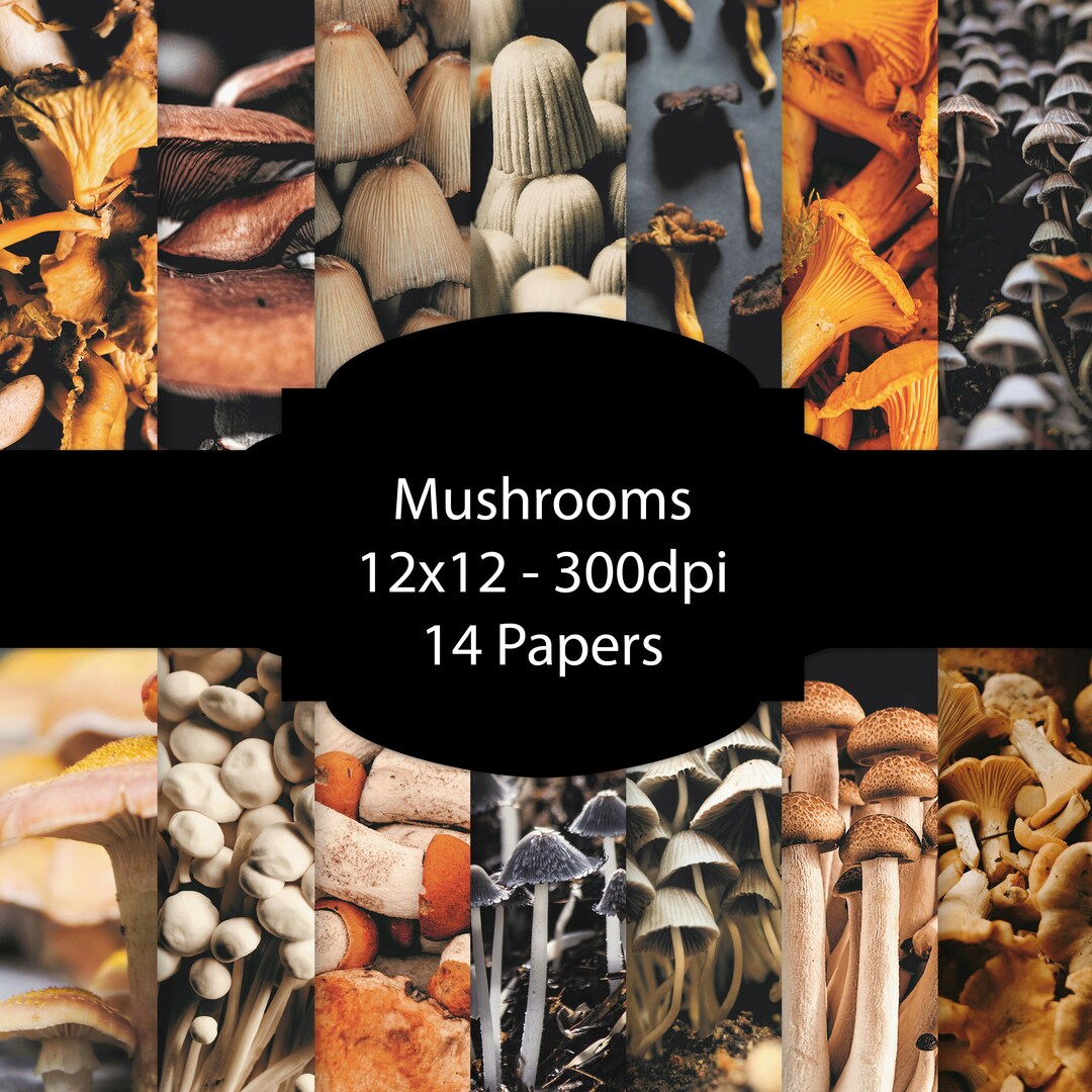 Realistic Mushrooms Digital Paper Fall/autumn Background - Etsy