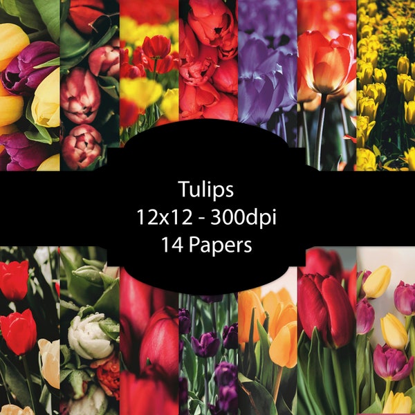 Paper Tulips - Etsy