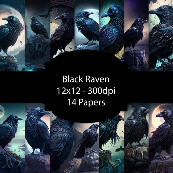 Black Raven - Etsy