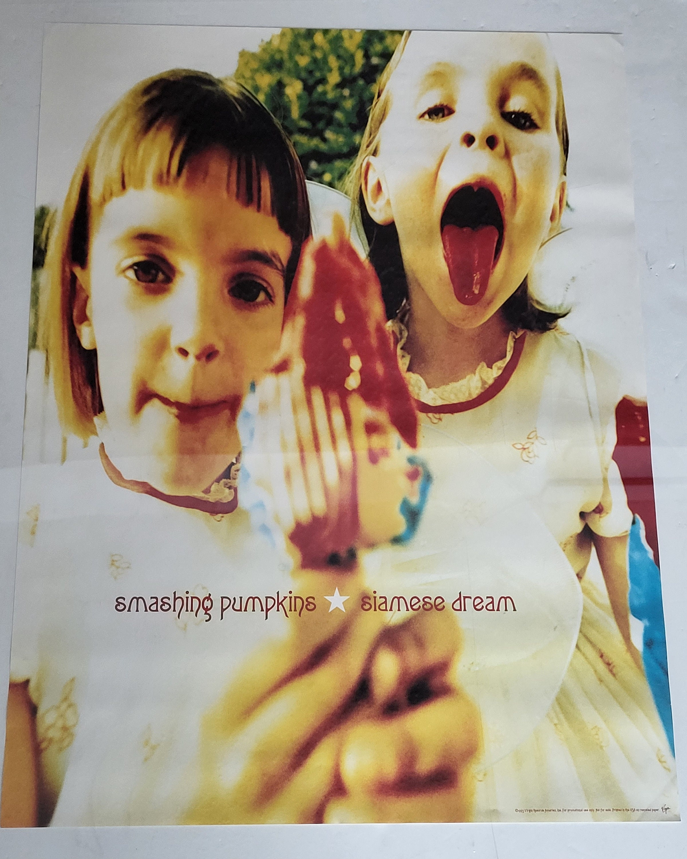 Siamese Dream Poster