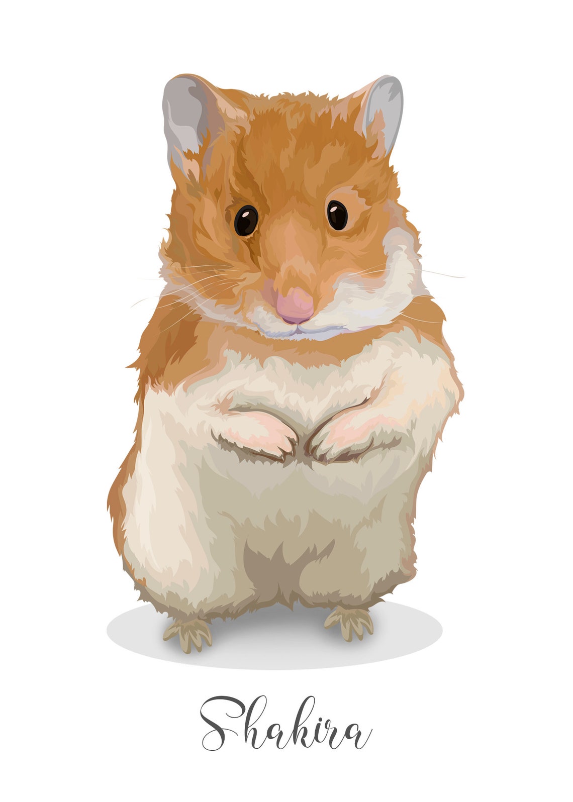 3 CUSTOM RAT Portrait Custom Pet Portrait RAT Memorial - Etsy