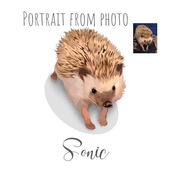 Hedgehog Portrait - Etsy
