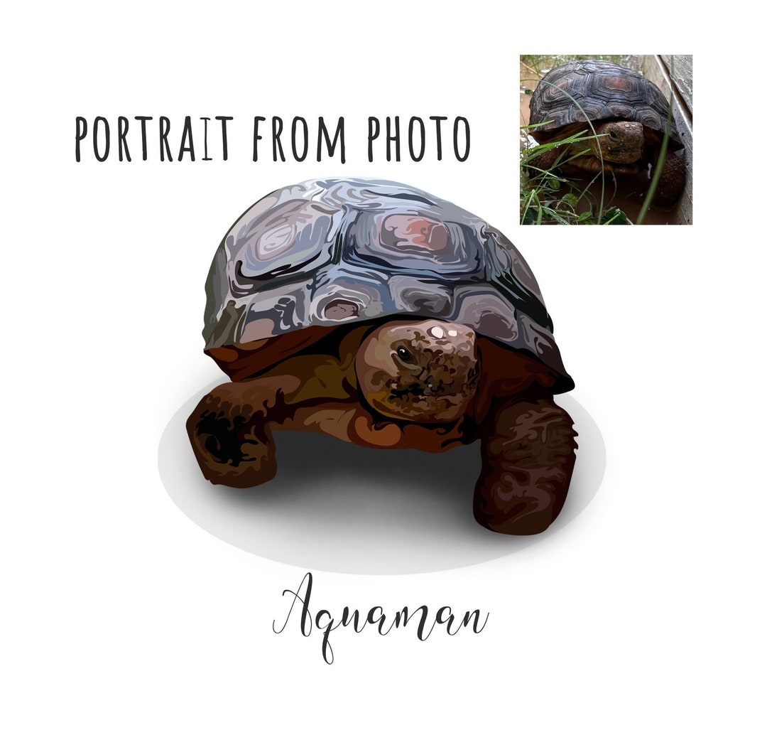 Custom Turtle Portrait - Reptile Personalised Turtle - Custom Pet ...