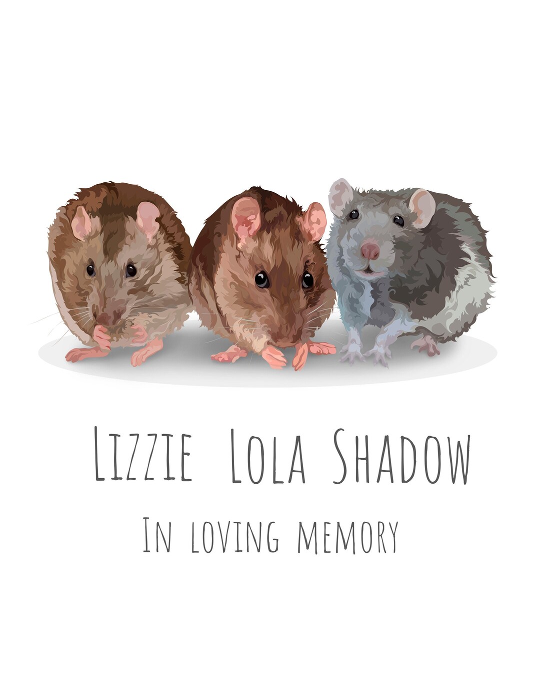 3 CUSTOM RAT Portrait Custom Pet Portrait RAT Memorial Portrait Regal ...