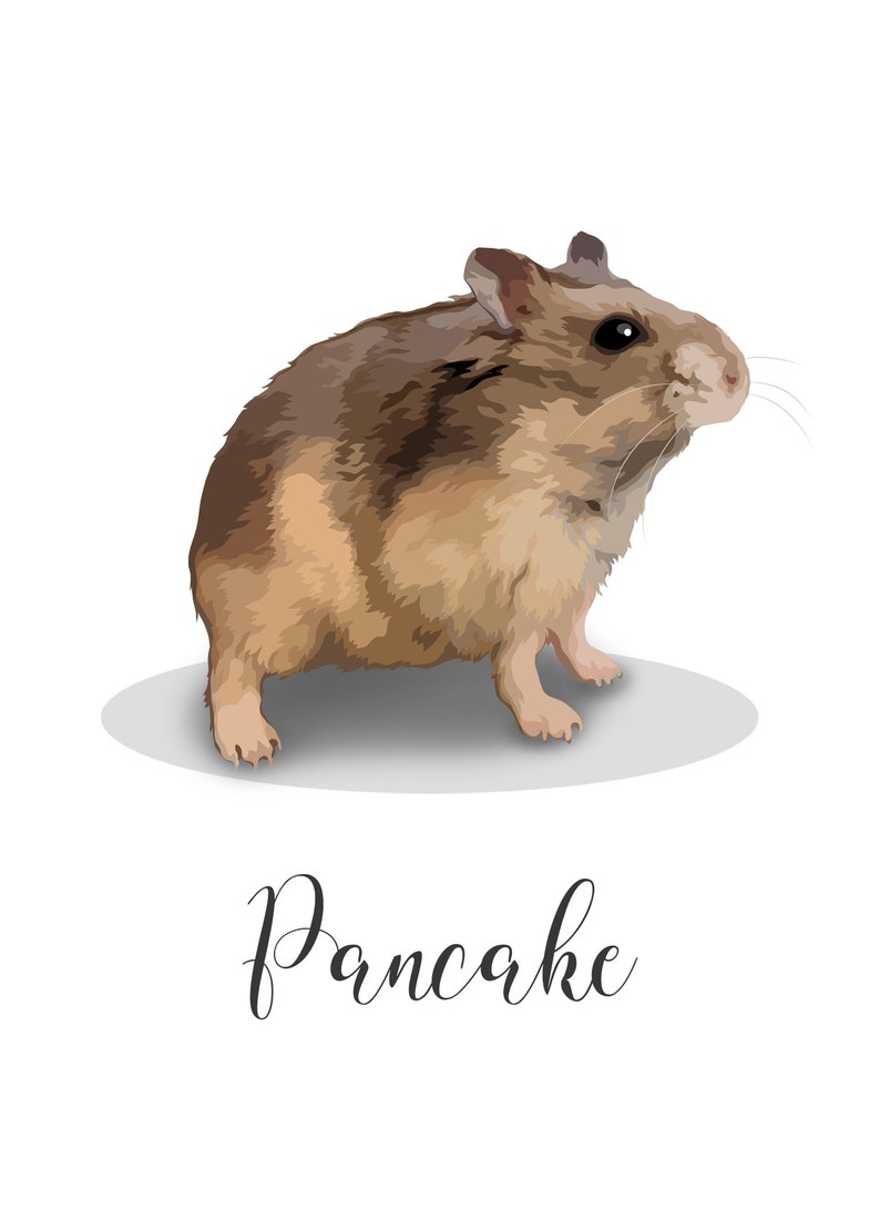 Personalized Hamster Portrait Hamster Portrait Illustration Digital Pet ...