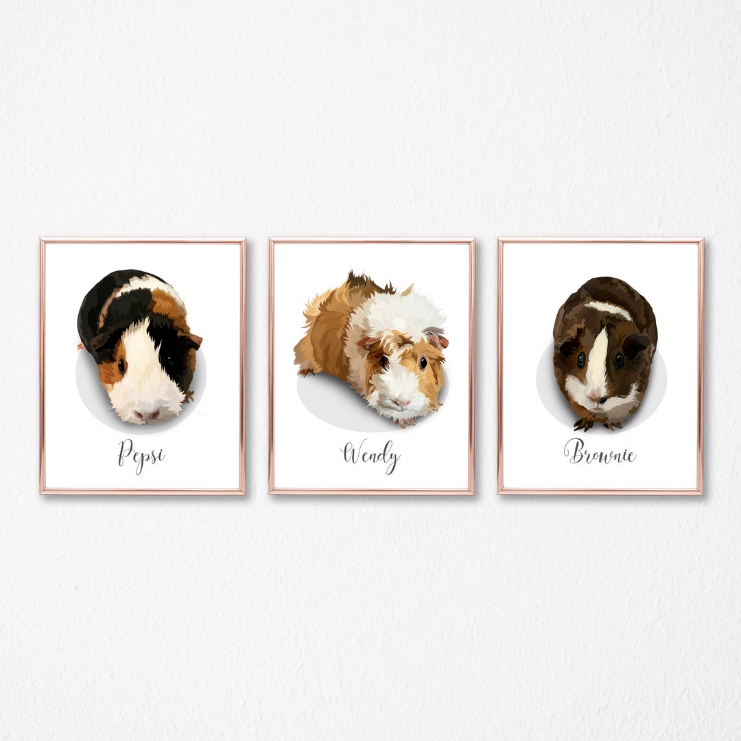 3 CUSTOM GUINEA PIGS Portrait - Custom Pet Portrait - Guinea Pig ...