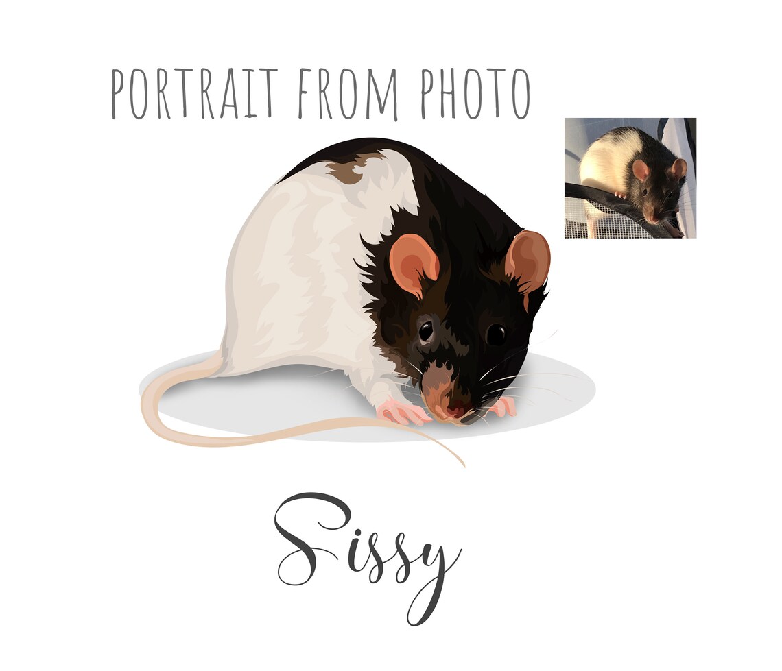 Rat Portrait Gift Custom Rat Print or Digital File Custom Pet Portrait ...