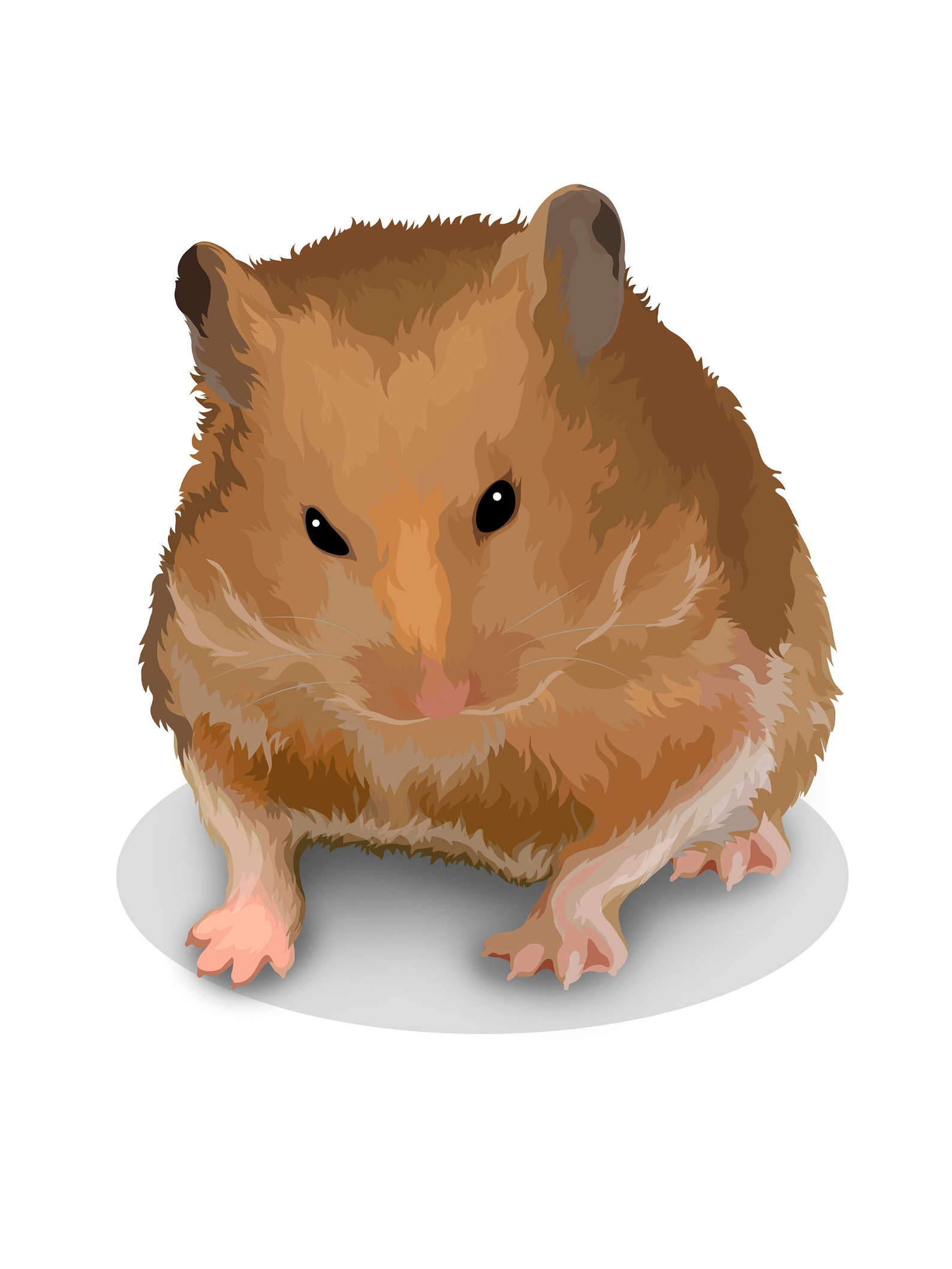Personalized Pet Portrait Hamster Portrait Illustration Digital Pet ...