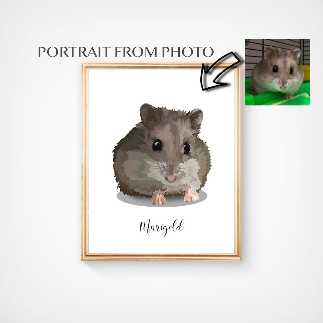 Personalized Pet Portrait Hamster Portrait Illustration Digital Pet ...