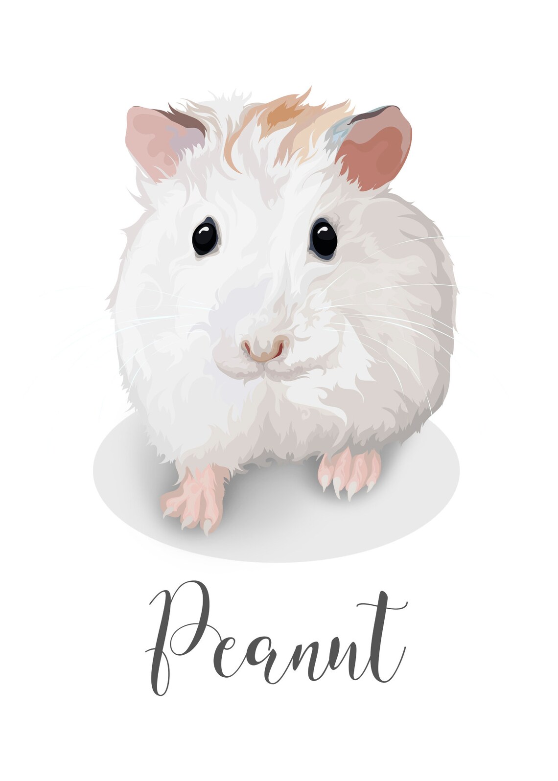 3 CUSTOM RAT Portrait Custom Pet Portrait RAT Memorial - Etsy