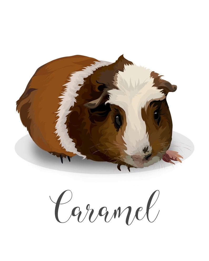 Custom Guinea Pig Portrait Pet Illustration Pet Gift Print Guinea Pig ...