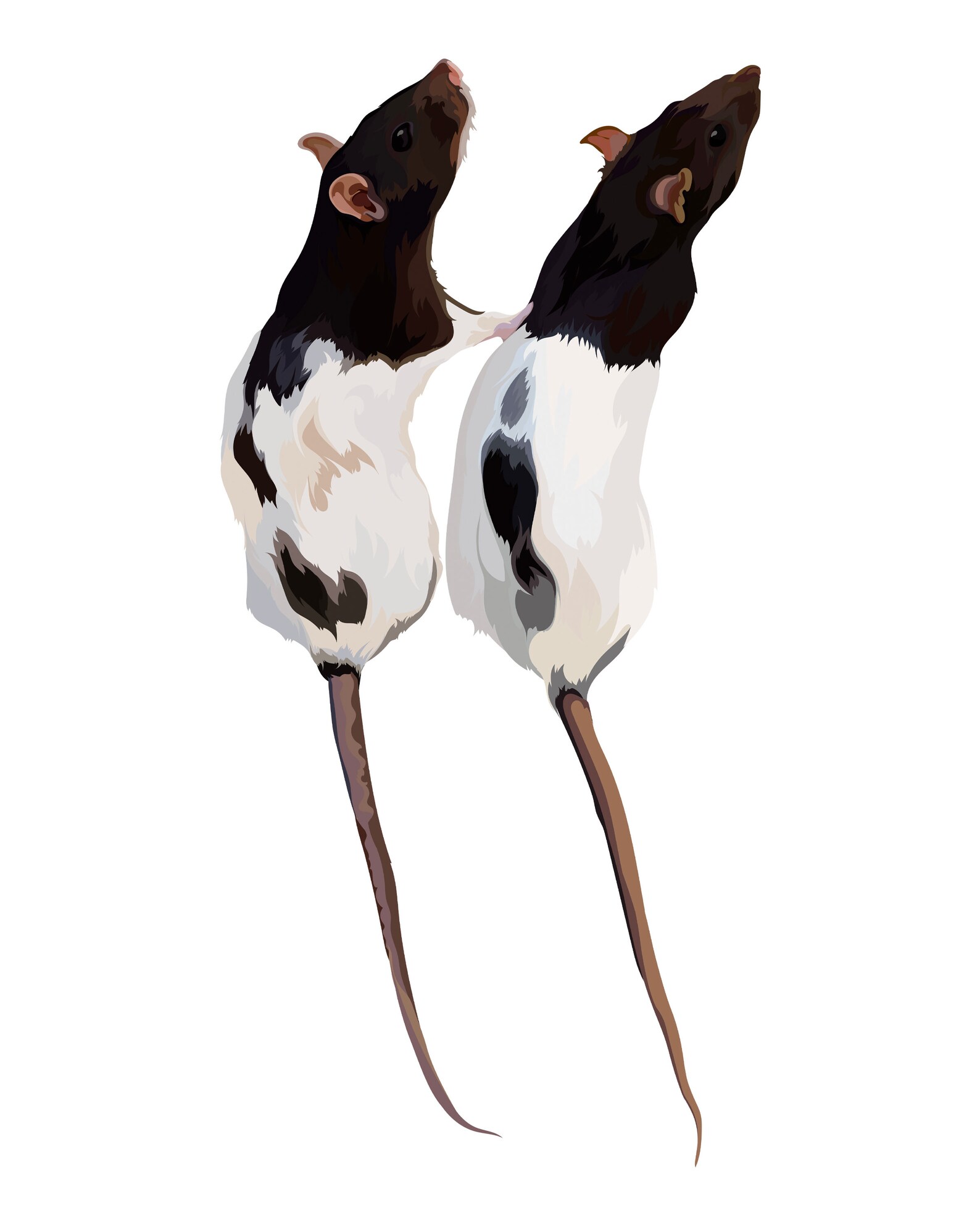 Rat Portrait Gift Custom Rat Print or Digital File Custom Pet Portrait ...