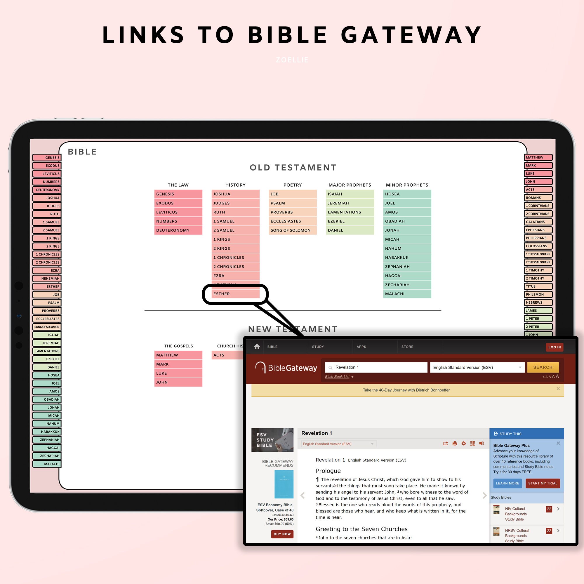 Digital Bible Journal 66 Books Fully Hyperlinked Goodnotes | Etsy