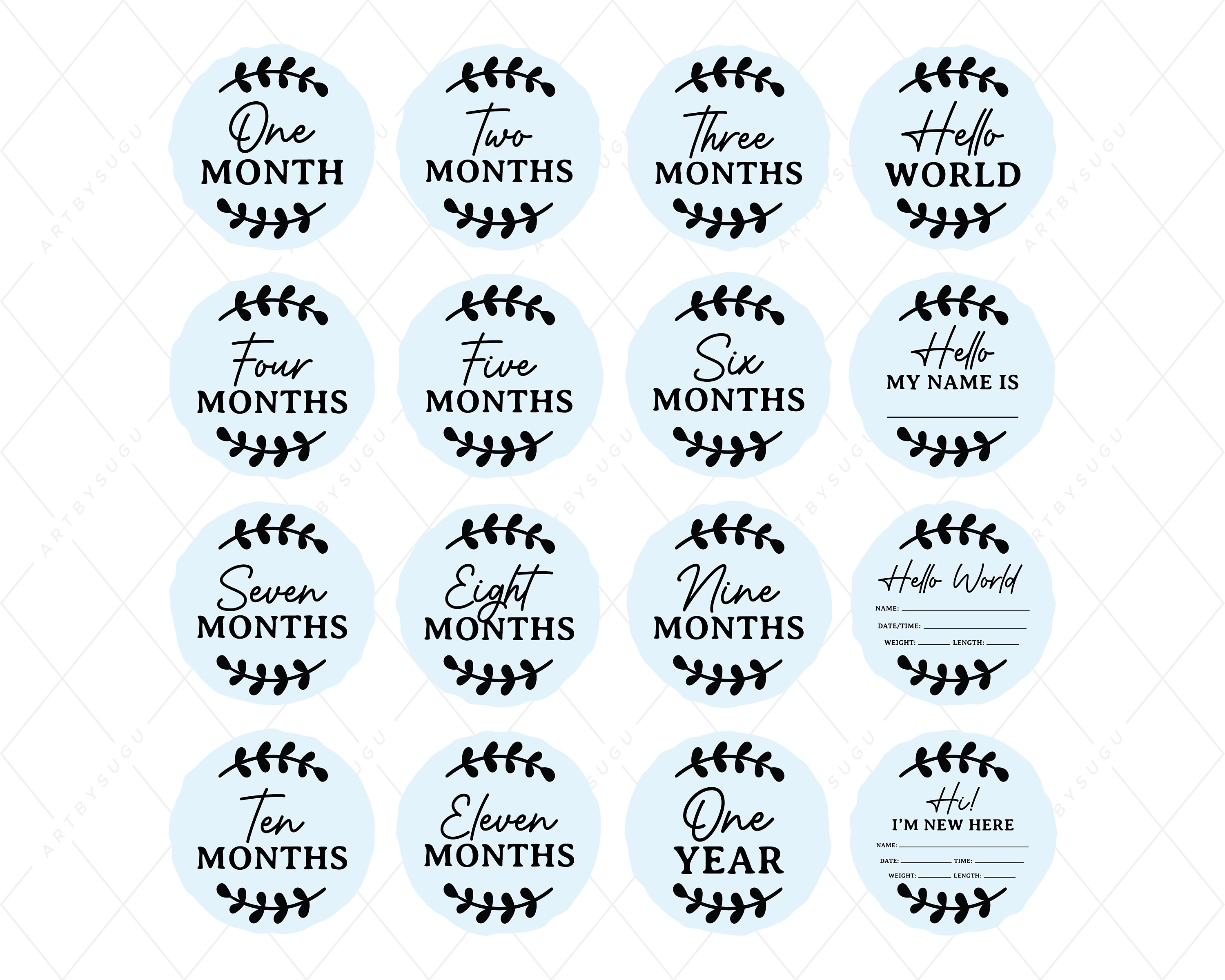 Baby Milestone Rounds SVG Hello World SVG Baby Sign SVG - Etsy