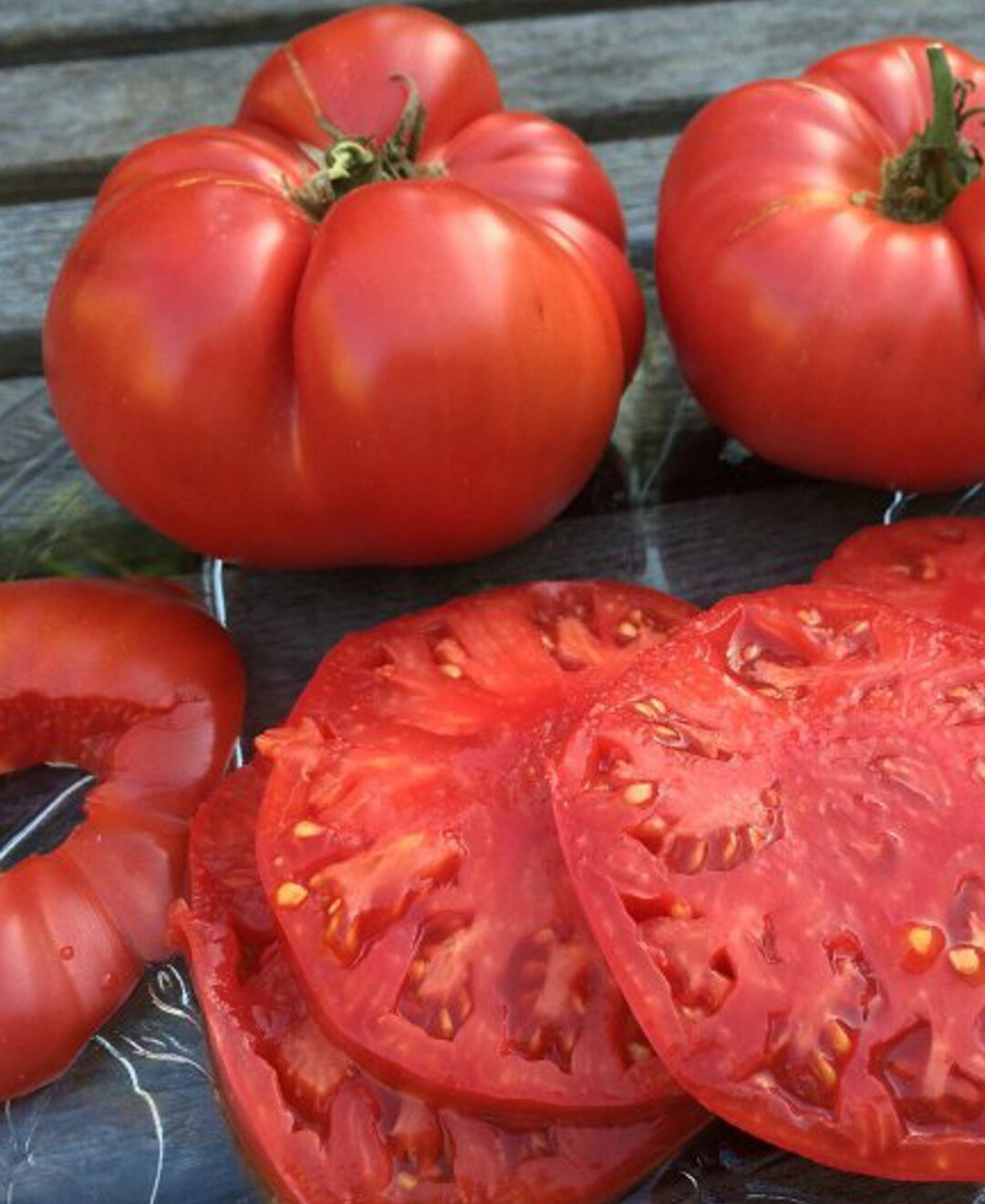 Homegrown Beef Steak Tomato Seeds, Indeterminate & Conventionally Grown ...