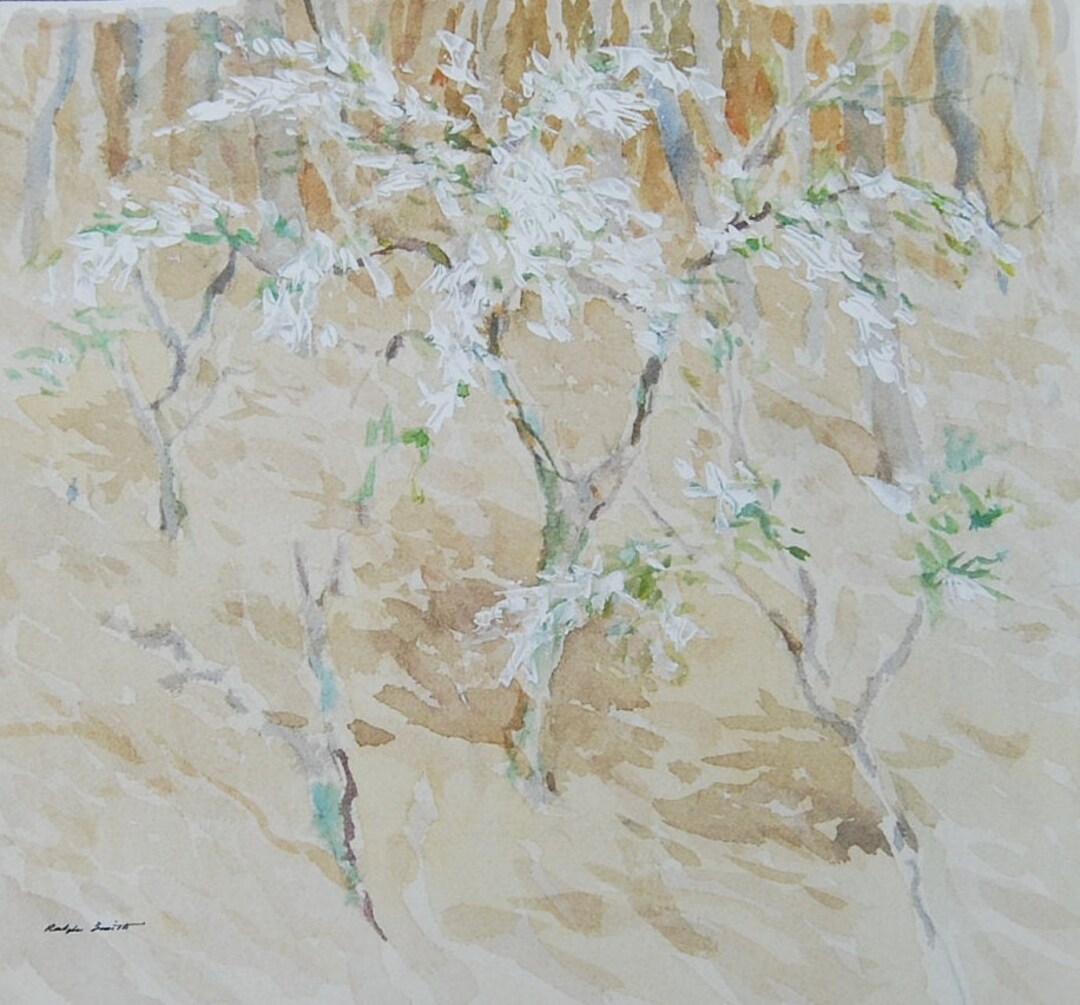 Sugar Tree Inn,vesuvius ,virginia,shenandoah Valley,blue Ridge Parkway ...