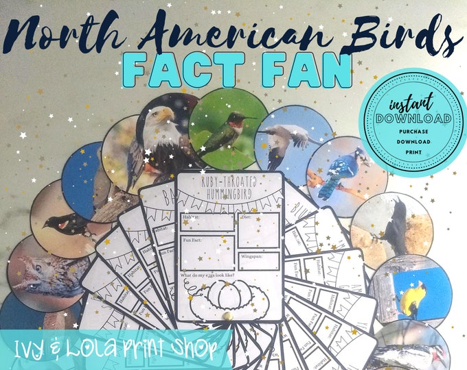 North American Birds Fact Fan Fact Cards Gather Round Homeschool Unit ...