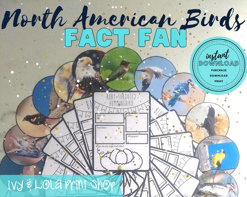 North American Birds Fact Fan Fact Cards Gather Round - Etsy